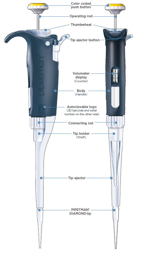 Gilson | Article | Everything You Need to Know About Pipette ...